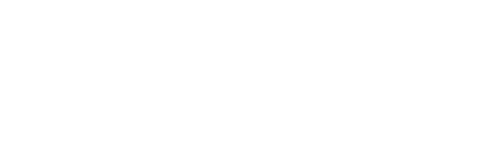 Information Risk Management (IRM) | North Green Security